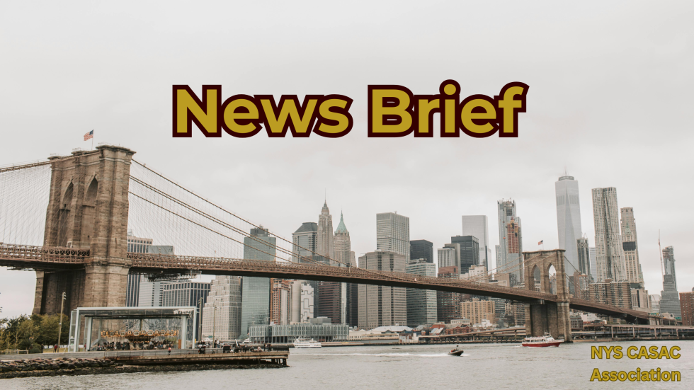 CASAC Leadership to Testify at NYS Behavioral Health Assembly